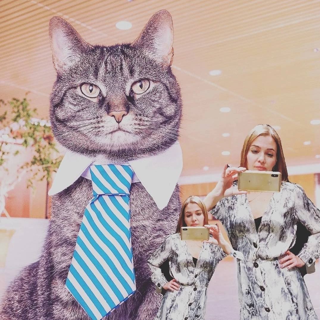 Иконка канала Катя Литау