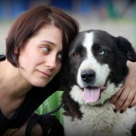 Иконка канала Взять собаку. Please adopt me - Moscow