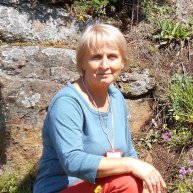 Иконка канала d-seminar