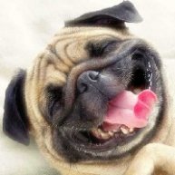 Иконка канала New g Net