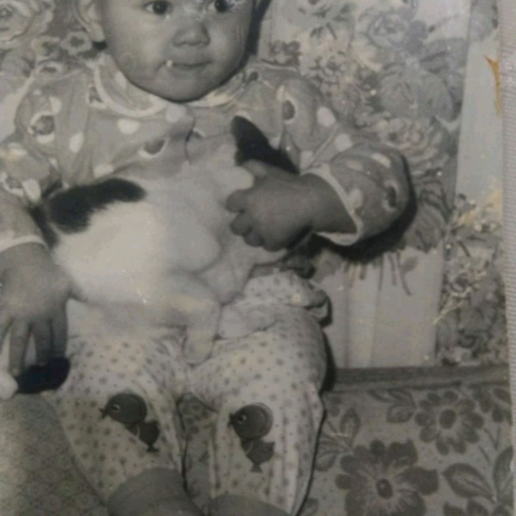 Иконка канала Radik Sharipov