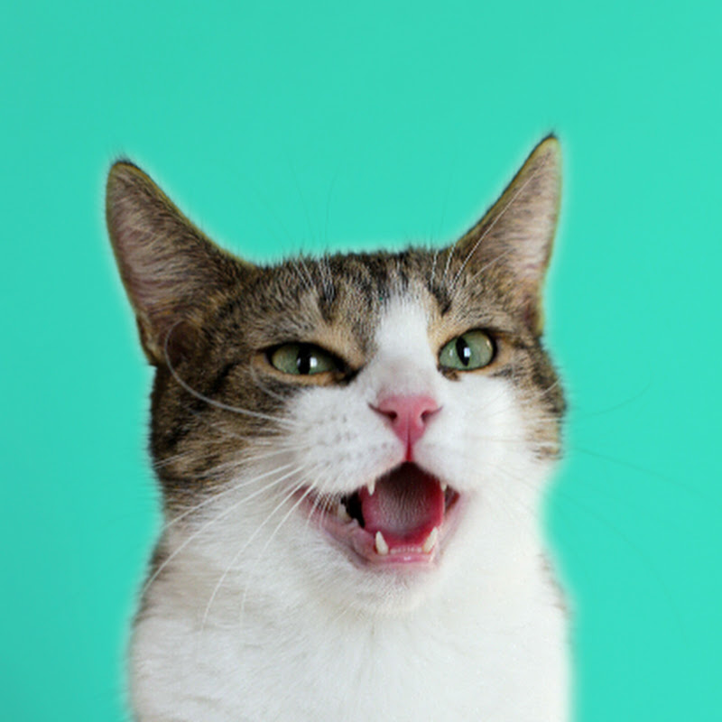 Иконка канала МЯТНЫЙ