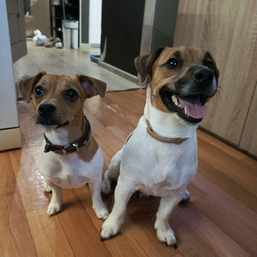 Иконка канала KrisTovalovich