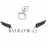 Иконка канала BOROW37