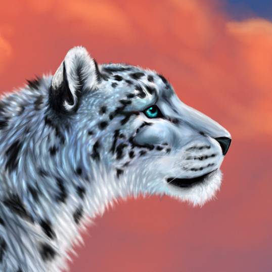 Иконка канала Snow_Leopard