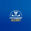 Иконка канала Луидор-Эксперт