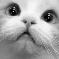 Иконка канала Hello Kitty