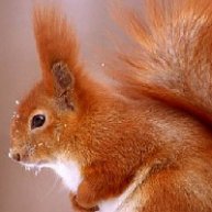 Иконка канала Хитр из Дупла