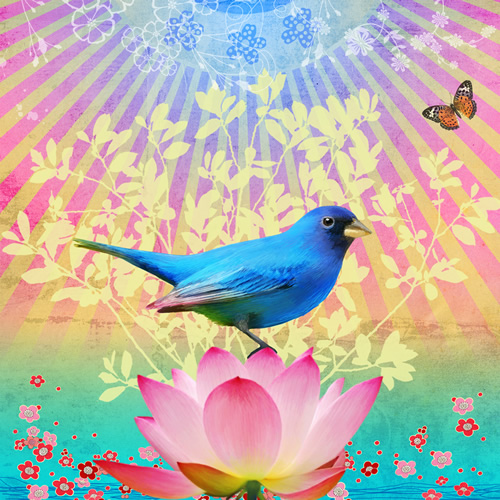 Иконка канала Gos Celestial