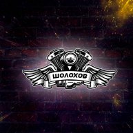 Иконка канала Шолохов