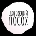Иконка канала ДОРОЖНЫЙ ПОСОХ