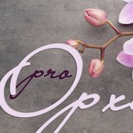 Иконка канала ПроОрхидеи