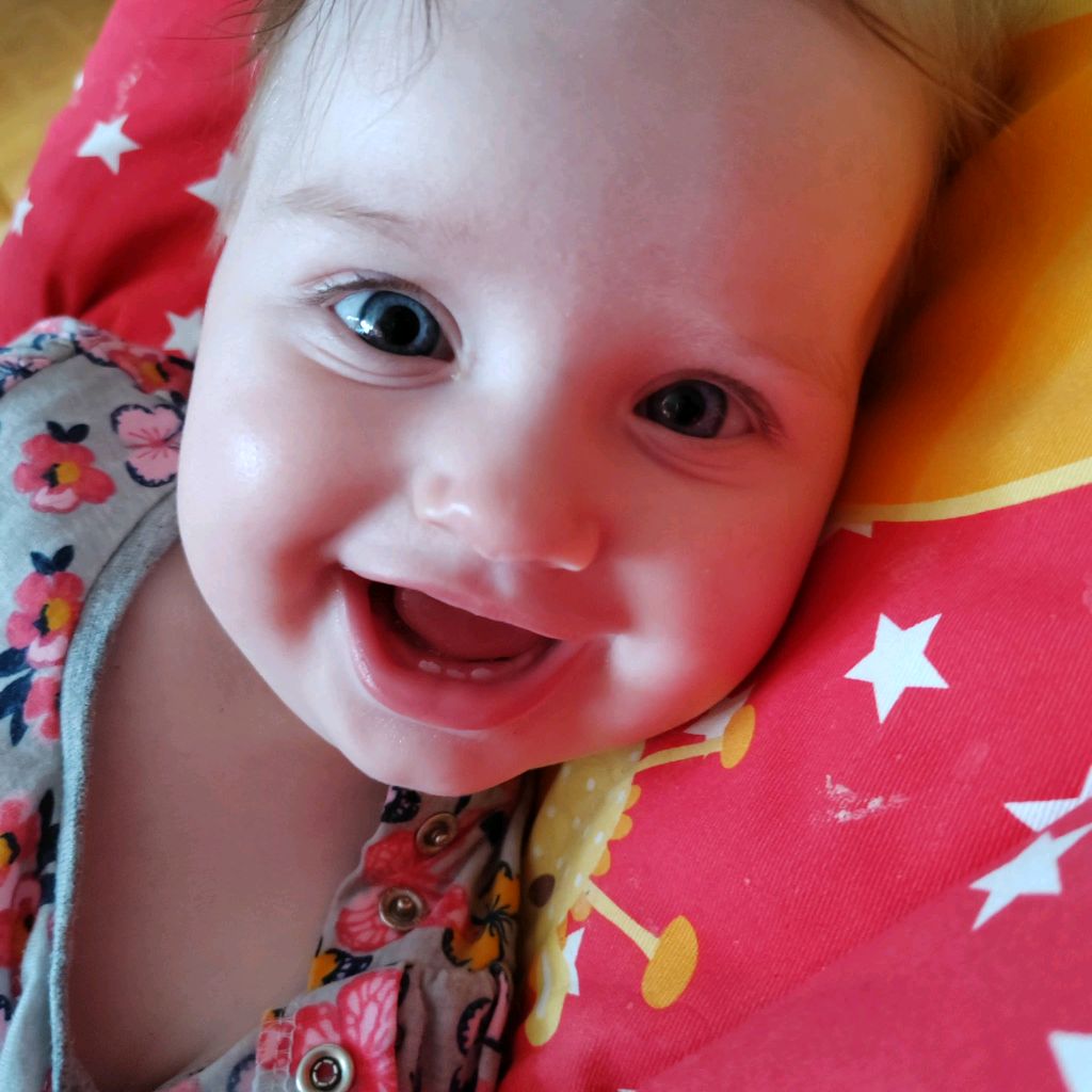 Иконка канала Dimelnik