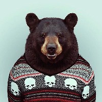 Иконка канала Россия | Russian Federation