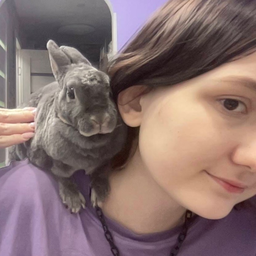 Иконка канала Twin Peaks Rabbits