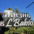 Иконка канала Жизнь в L'Babio