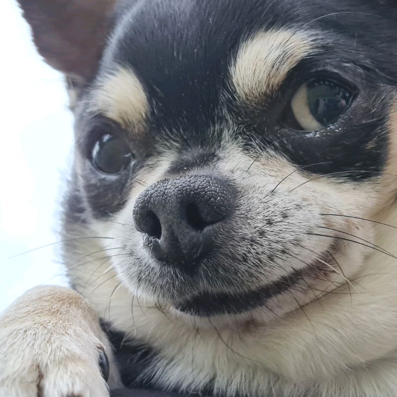 Иконка канала Nm70