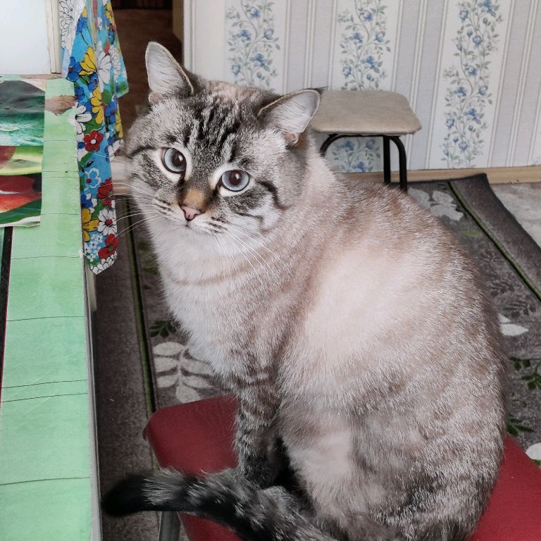 Канал Game Over смотри онлайн на Rutube