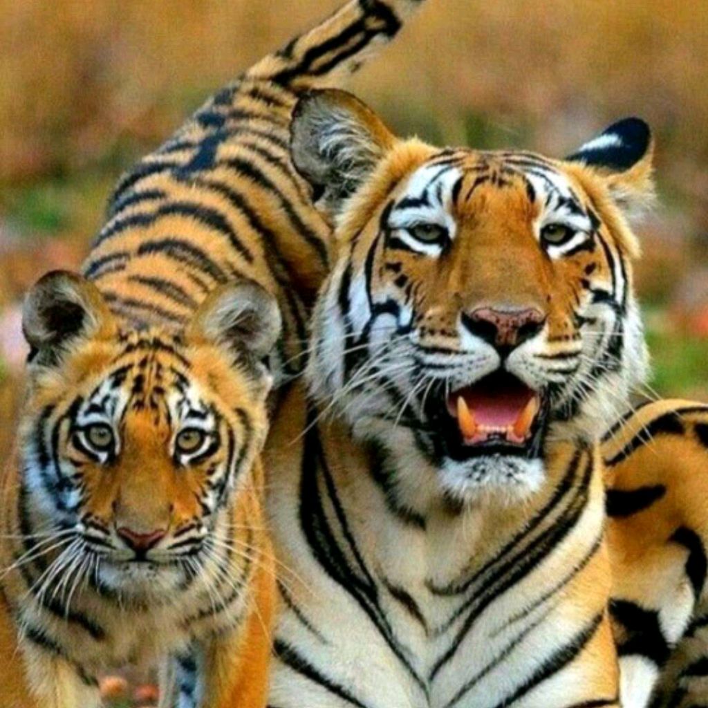 Иконка канала channel35724947