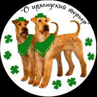 Иконка канала О ирландский терьер ВКонтакте