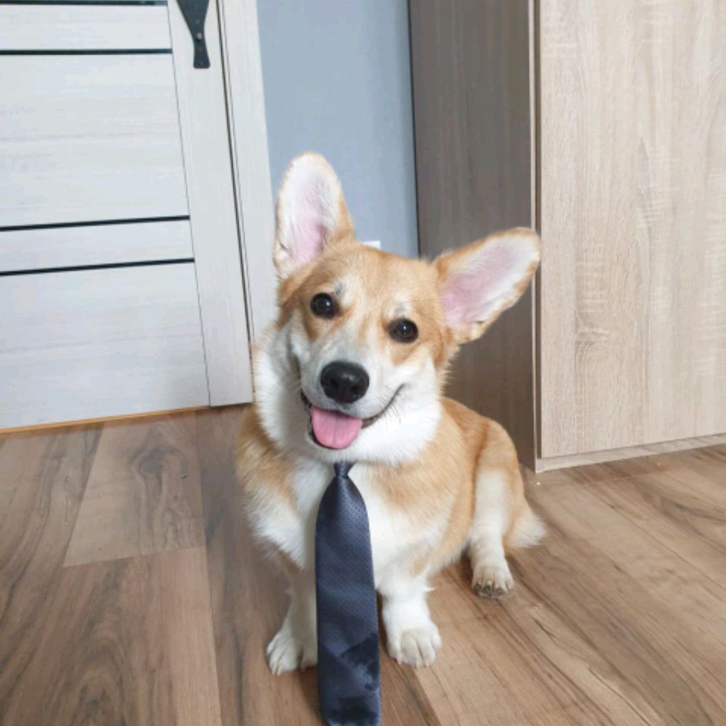 Иконка канала Макарошка))