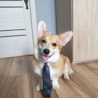 Иконка канала Макарошка))