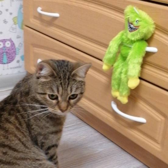 Иконка канала Sashasbs