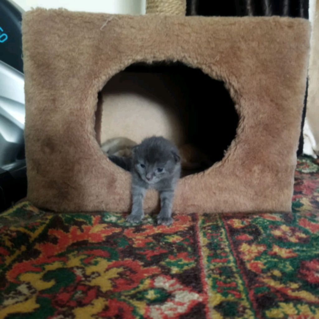 Иконка канала Ваня крутой