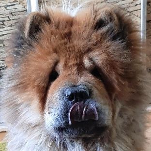 Иконка канала Юлия Луговская