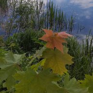 Иконка канала НИКА(беспощадный пиарщик)