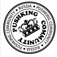 Иконка канала Pushking Community