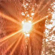 Иконка канала NVTMC