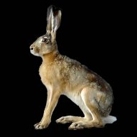 Иконка канала Ближе к природе (Closer to nature)