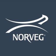 Иконка канала Norveg