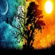 Иконка канала Клич Тв