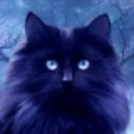 Иконка канала Лунный Кот