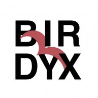 Иконка канала Birdyx. Excel и Google таблицы для бизнеса