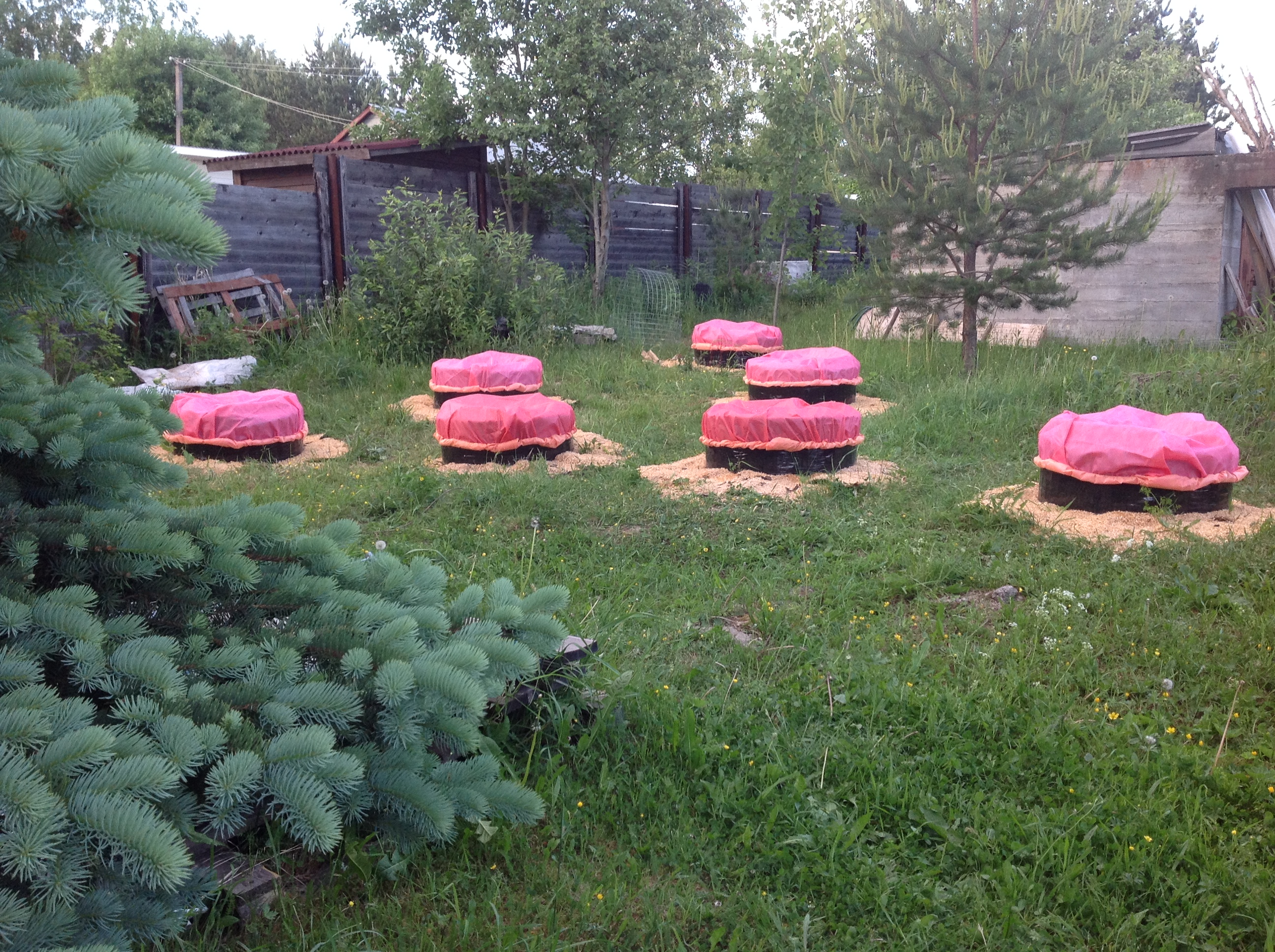 Иконка канала САД И ОГОРОД В МЕШКАХ