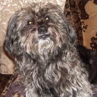 Иконка канала febus66