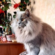 Иконка канала Музыкальные квизы от Матильды