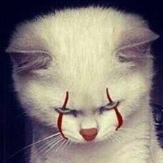 Иконка канала Санта-Муэрто