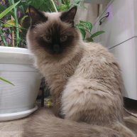 Иконка канала Bragin73