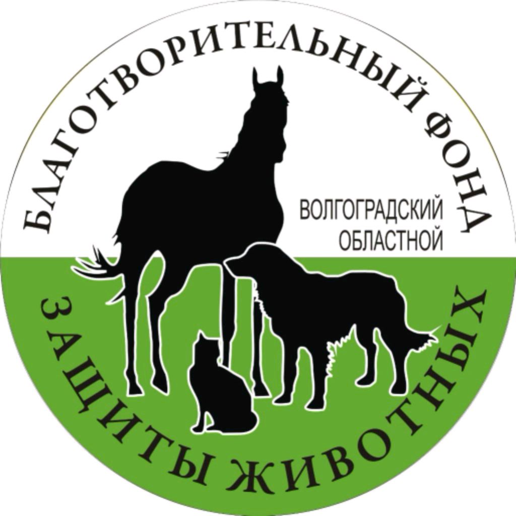 Иконка канала Зооцентр Дино