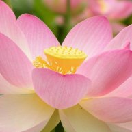 Иконка канала Людмила Ураева