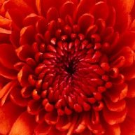 Иконка канала Лучшие трейлеры к фильмам и разборы (Подпишись на Канал)