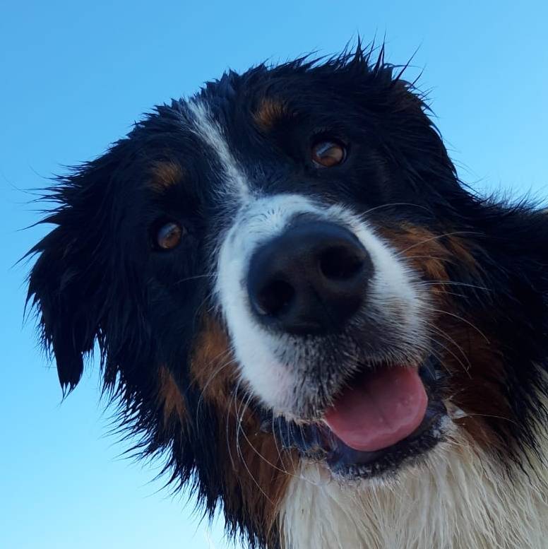 Иконка канала Xela