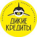 Иконка канала ДИКИЕ КРЕДИТЫ