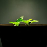 Иконка канала ПРО