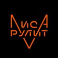 Иконка канала ЛИСА РУЛИТ