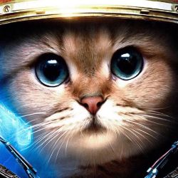 Иконка канала lets play 365